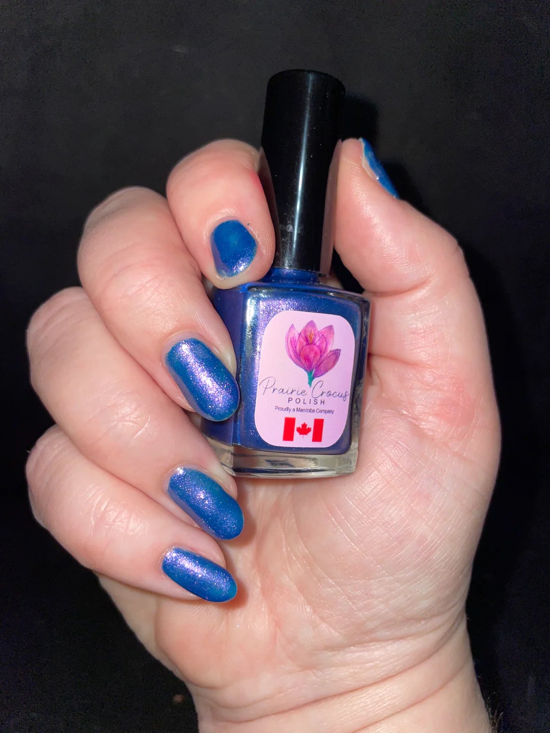 Prairie Crocus Polish Fairy Dust - Blue Shimmer Nail Polish – NailStuff